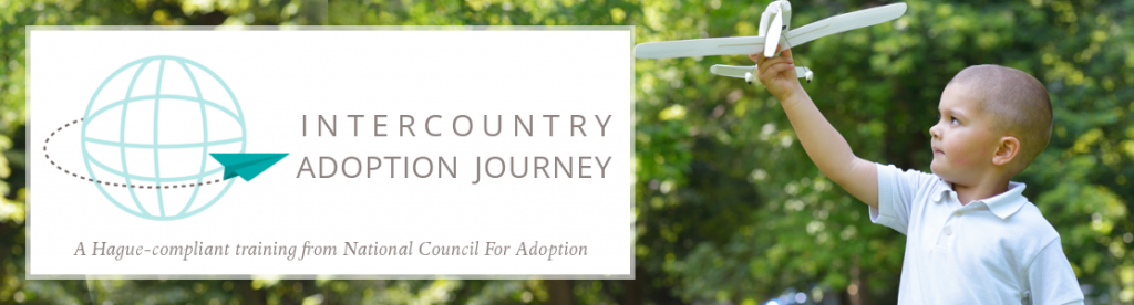 Intercountry Adoption Journey - National Council For Adoption